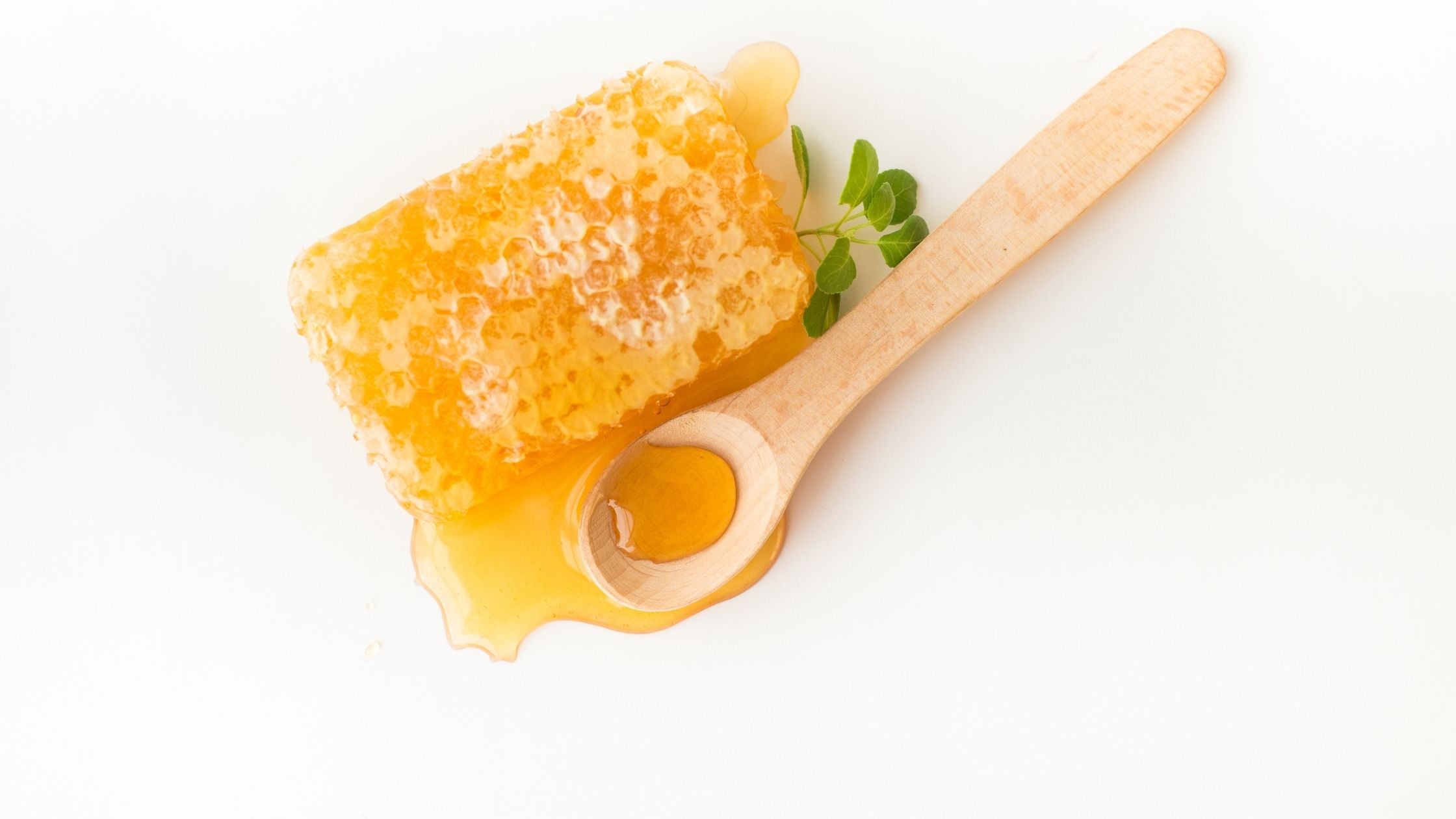 What is Propolis and What is it Used For? – AziMD Skincare